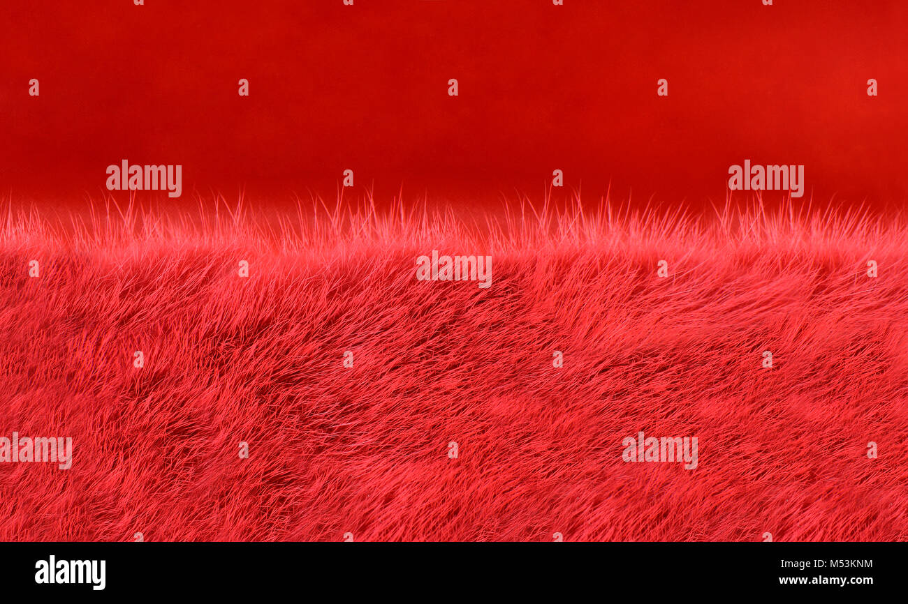 Red fur and fabric for background Stock Photo - Alamy
