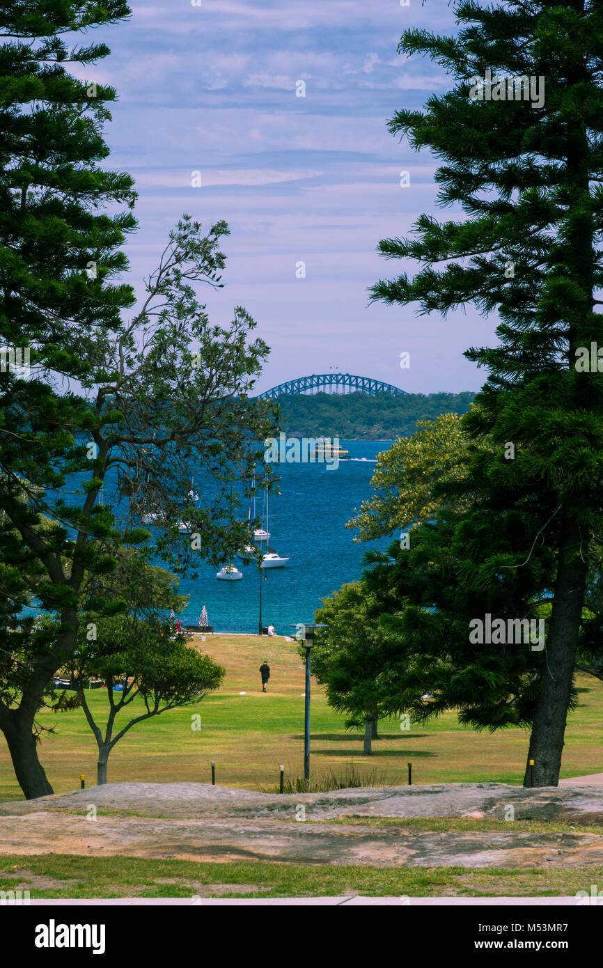 Sydney Harbour and Harbour Bridge view from top of Robertson Park ...