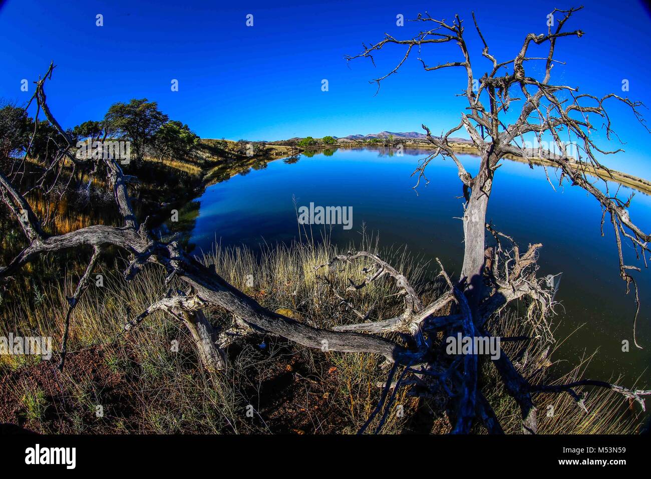 Cuenca del Rio San Pedro, Naturalia Stock Photo - Alamy