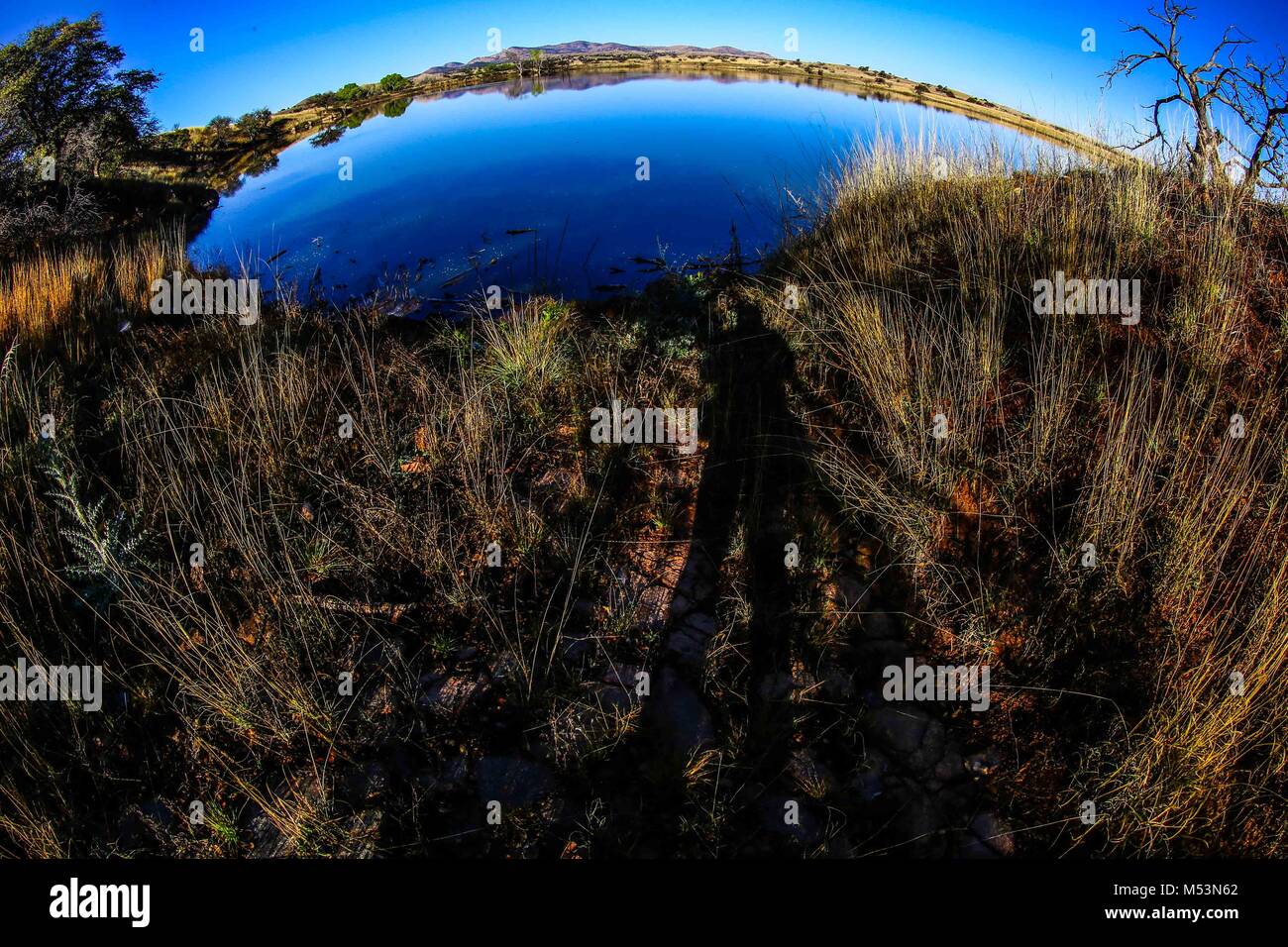 River basin and San Pedro stream, in northern Sonora, Mexico. It has ...