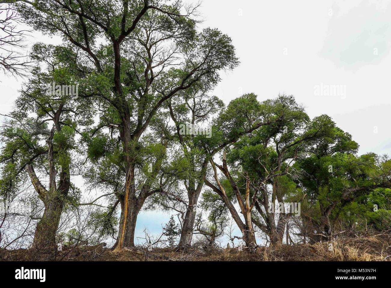 Cuenca del río grande hi-res stock photography and images - Alamy
