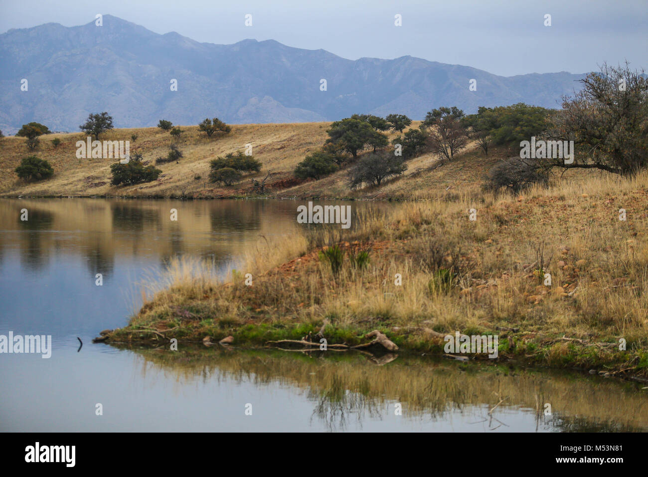 River basin and San Pedro stream, in northern Sonora, Mexico. It has ...