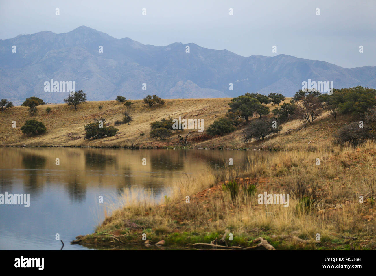 River basin and San Pedro stream, in northern Sonora, Mexico. It has ...
