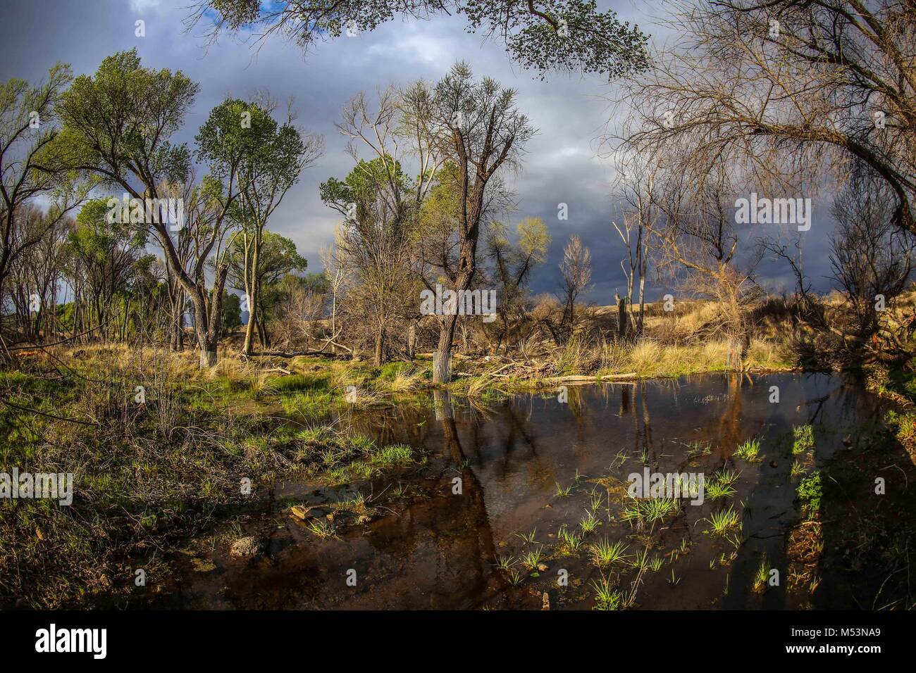 River basin and San Pedro stream, in northern Sonora, Mexico. It has ...
