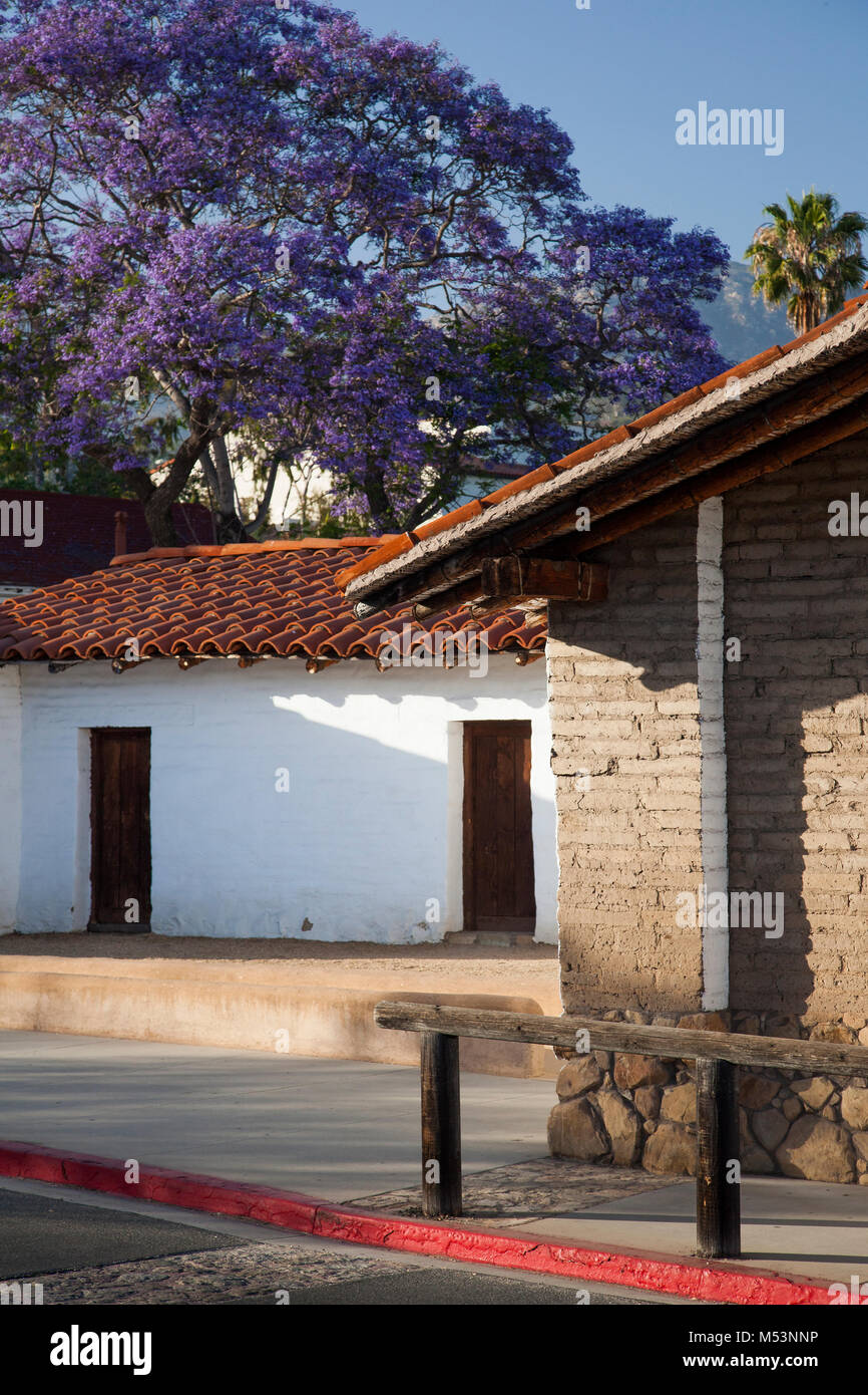 A view of classic architecture and a blooming jacaranda tree Stock ...