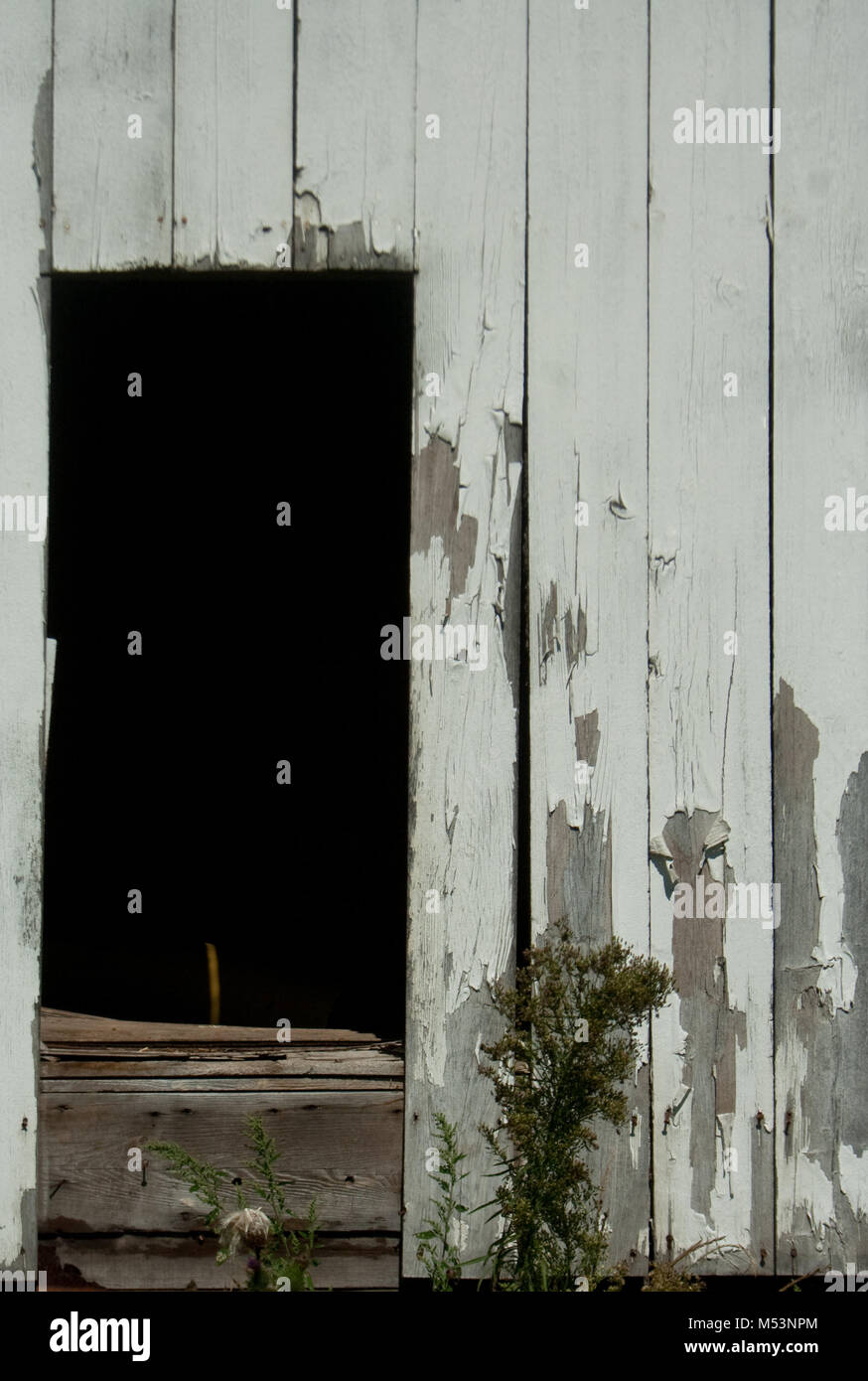 Old Weathered Barn with no Door Stock Photo - Alamy