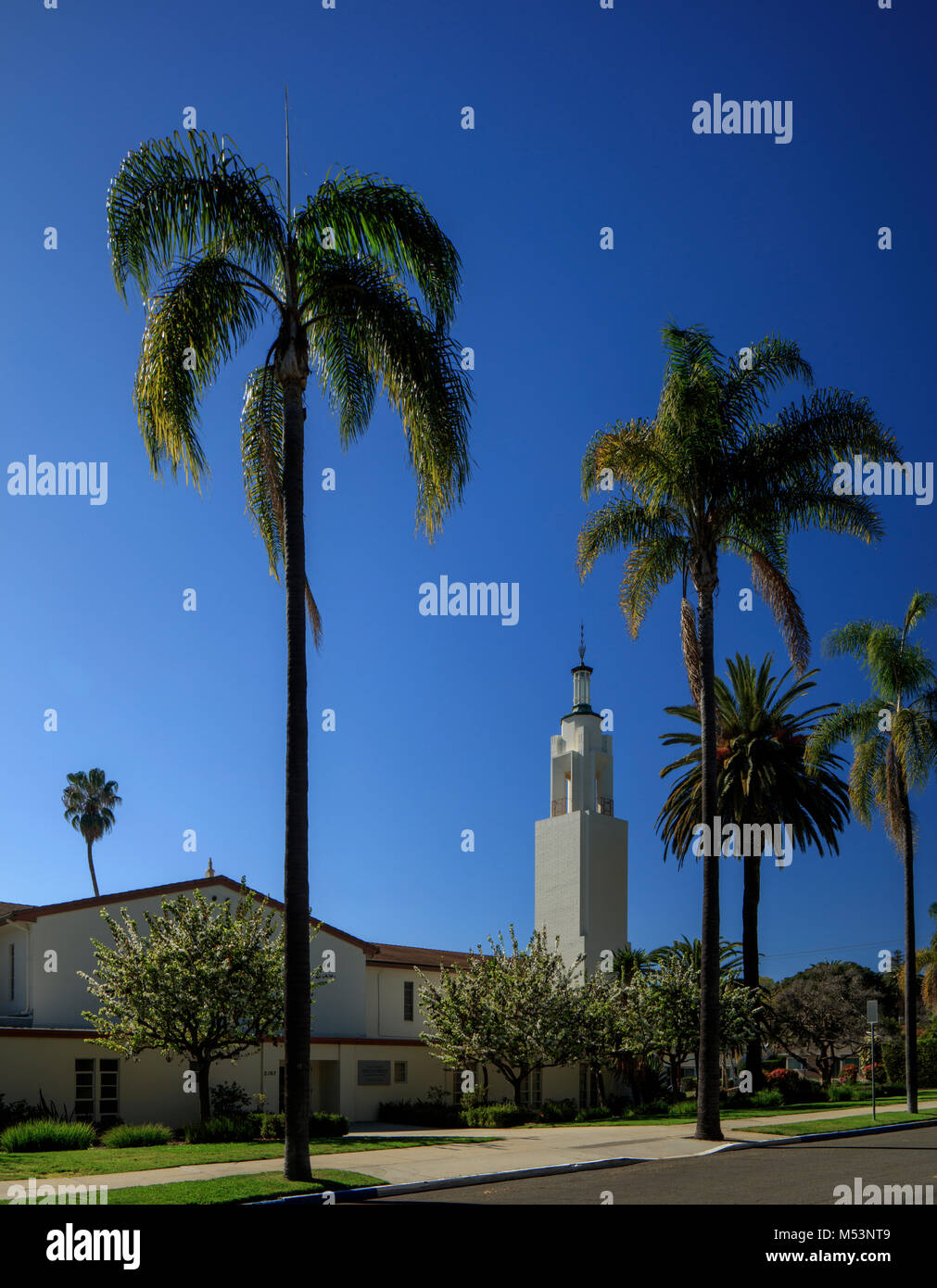 Vertical shot of a church tower and palm trees on a blue sky Stock ...