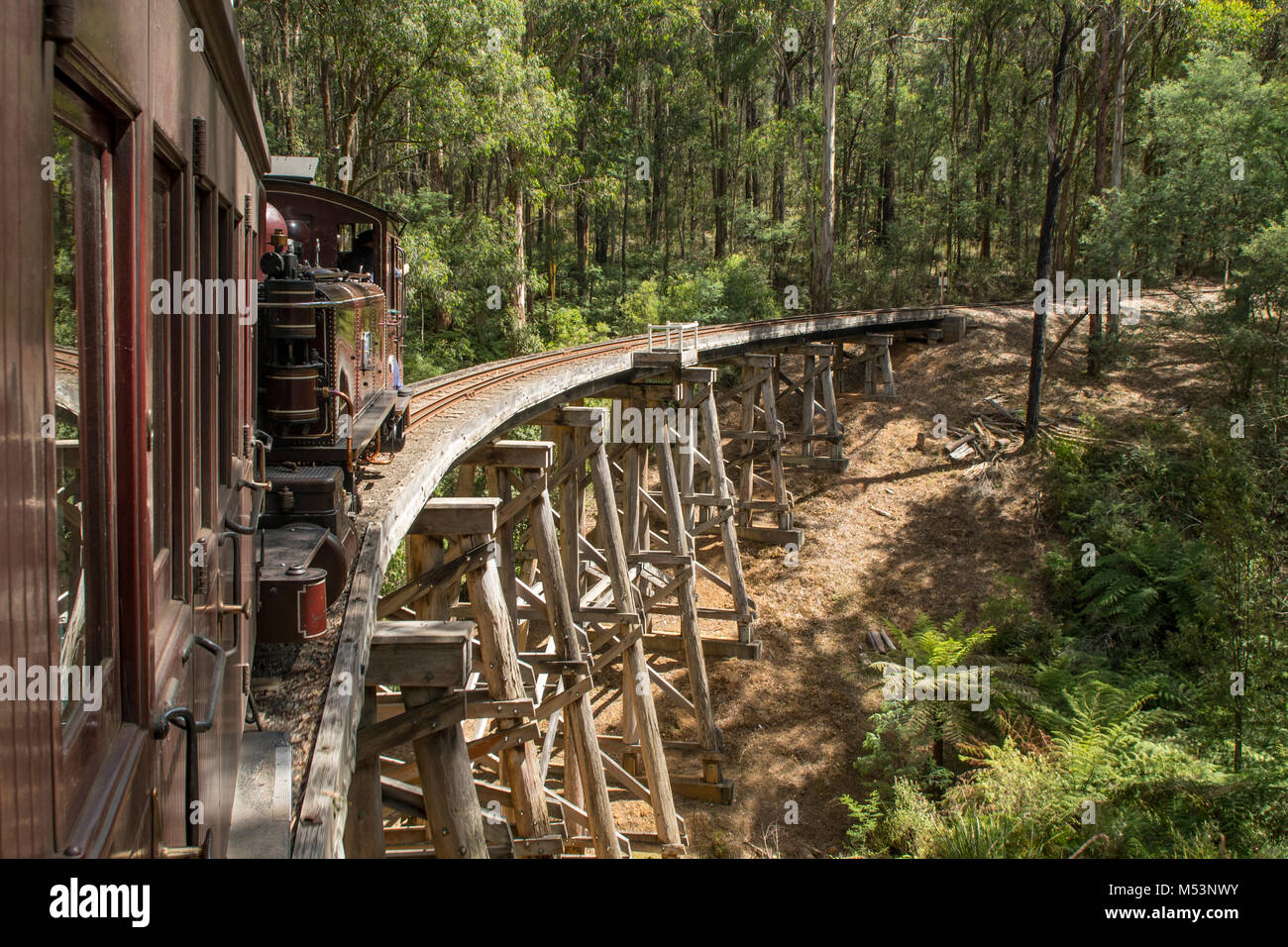 Puffing billy trestle bridge hi-res stock photography and images - Alamy