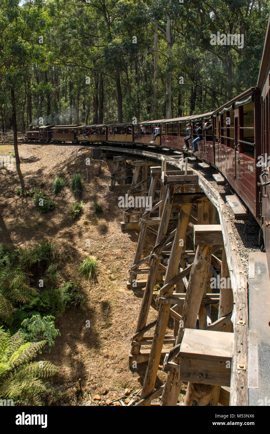 Puffing Billy on Timber Trestle Bridge near Wright, Victoria, Australia ...