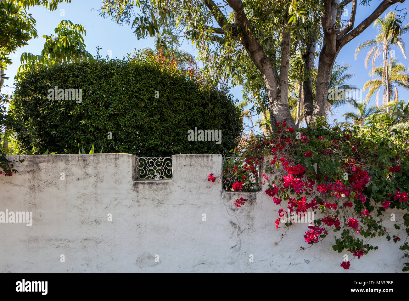 An old plaster wall with ornate features and blossoming plants adorn a ...