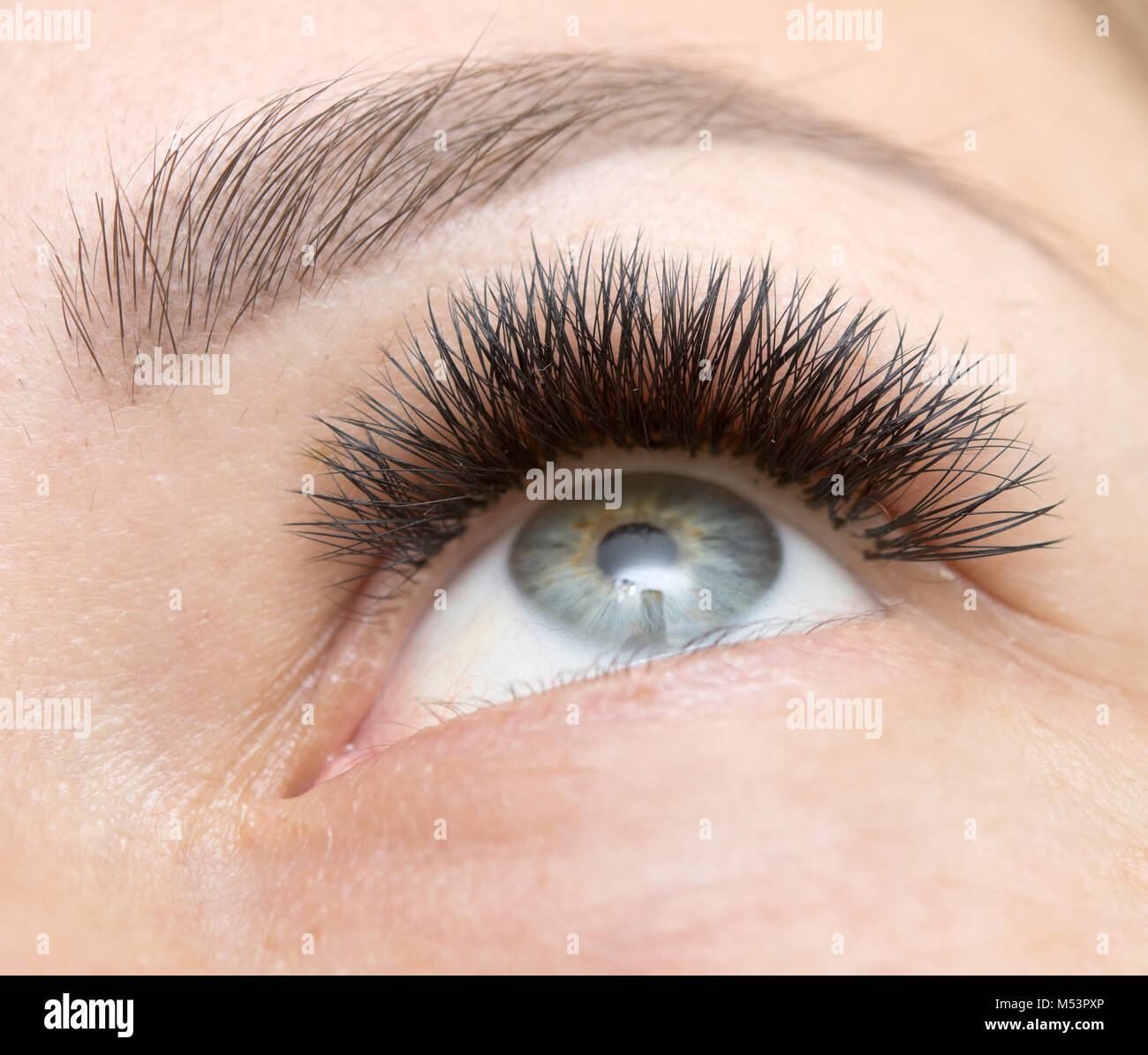 eye lush extension Stock Photo - Alamy