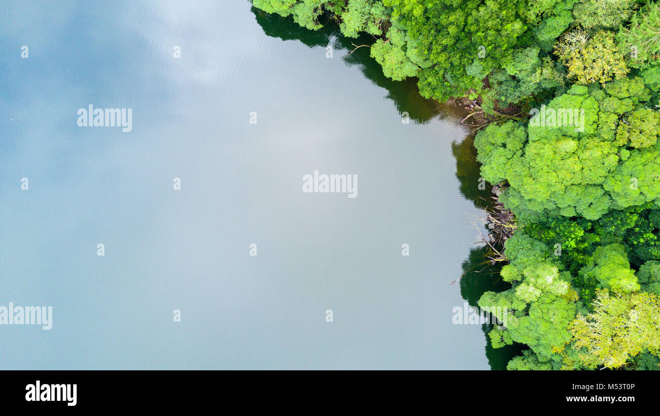 Astonishing trees archipelago azores hi-res stock photography and ...
