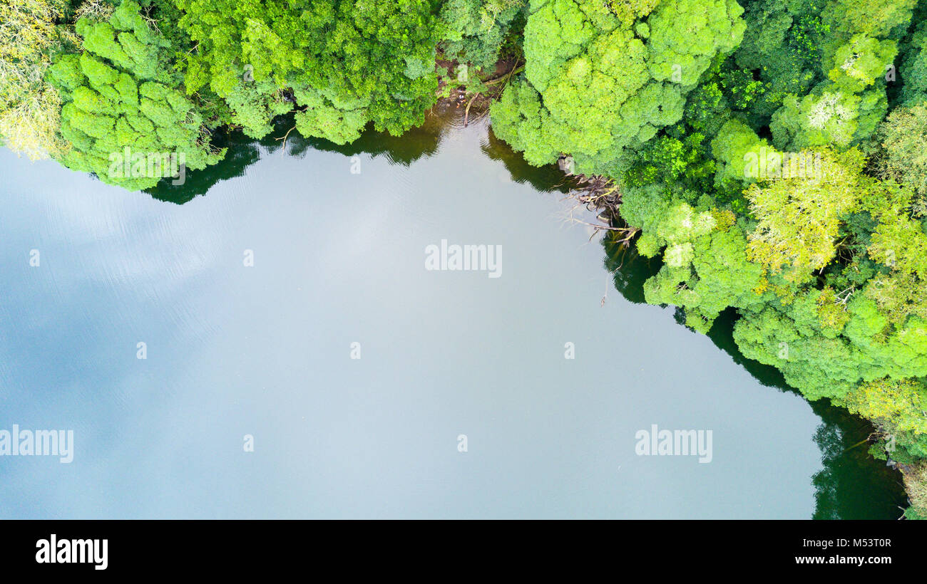The astonishing greens of the archipelago of Azores - Portugal Stock ...