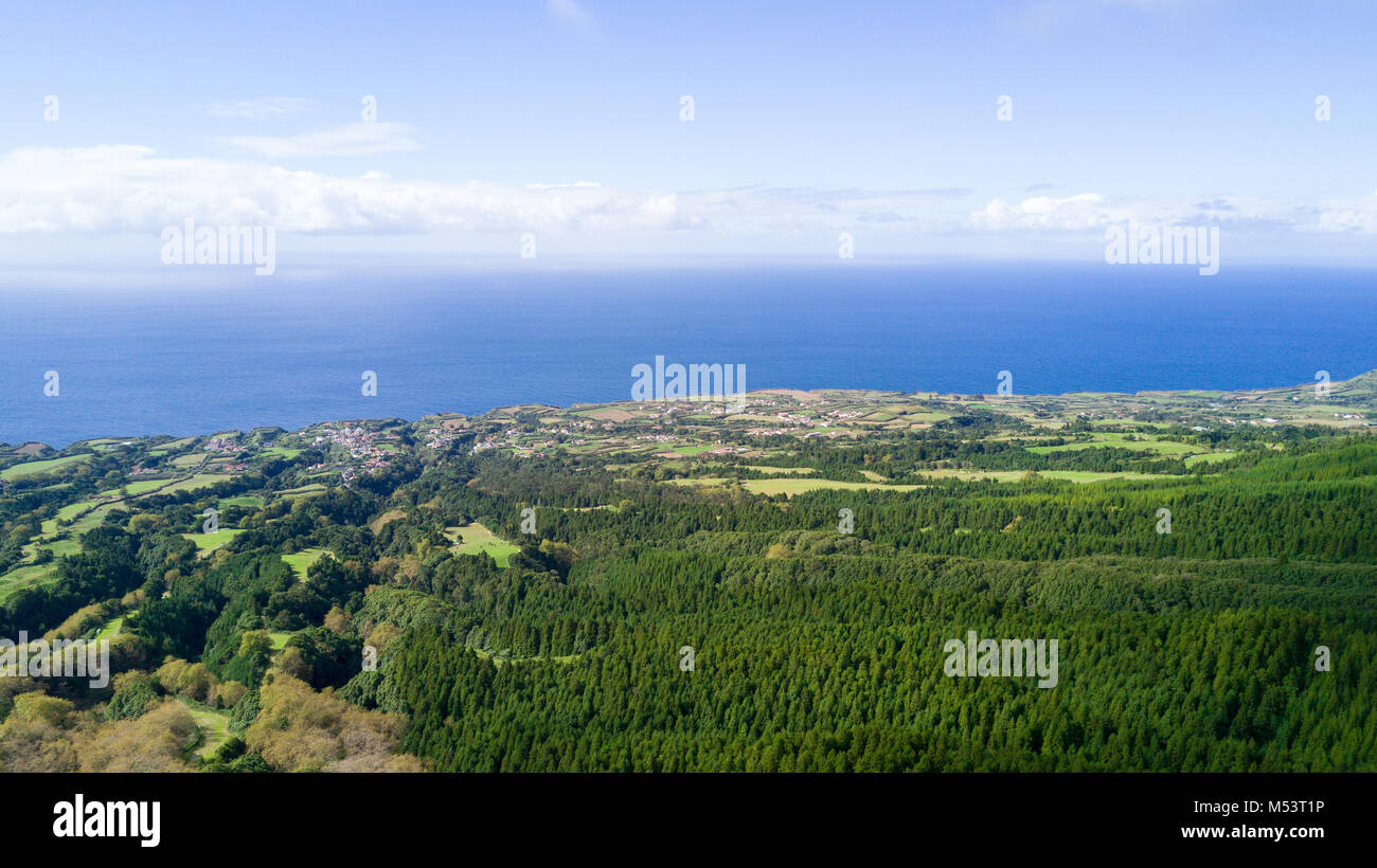 Astonishing trees archipelago azores hi-res stock photography and ...