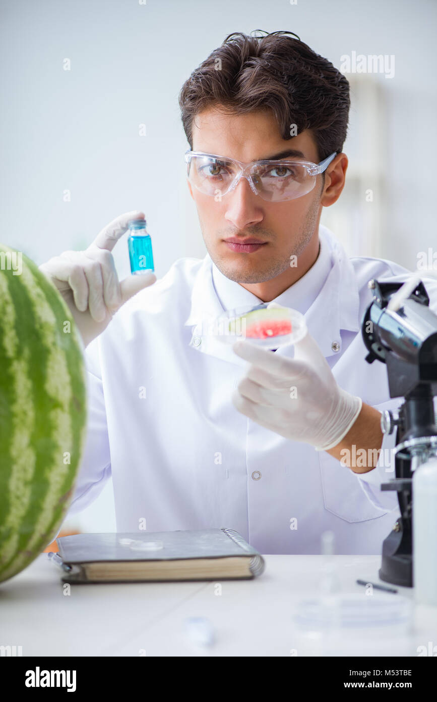 Scientist testing watermelon in lab Stock Photo - Alamy