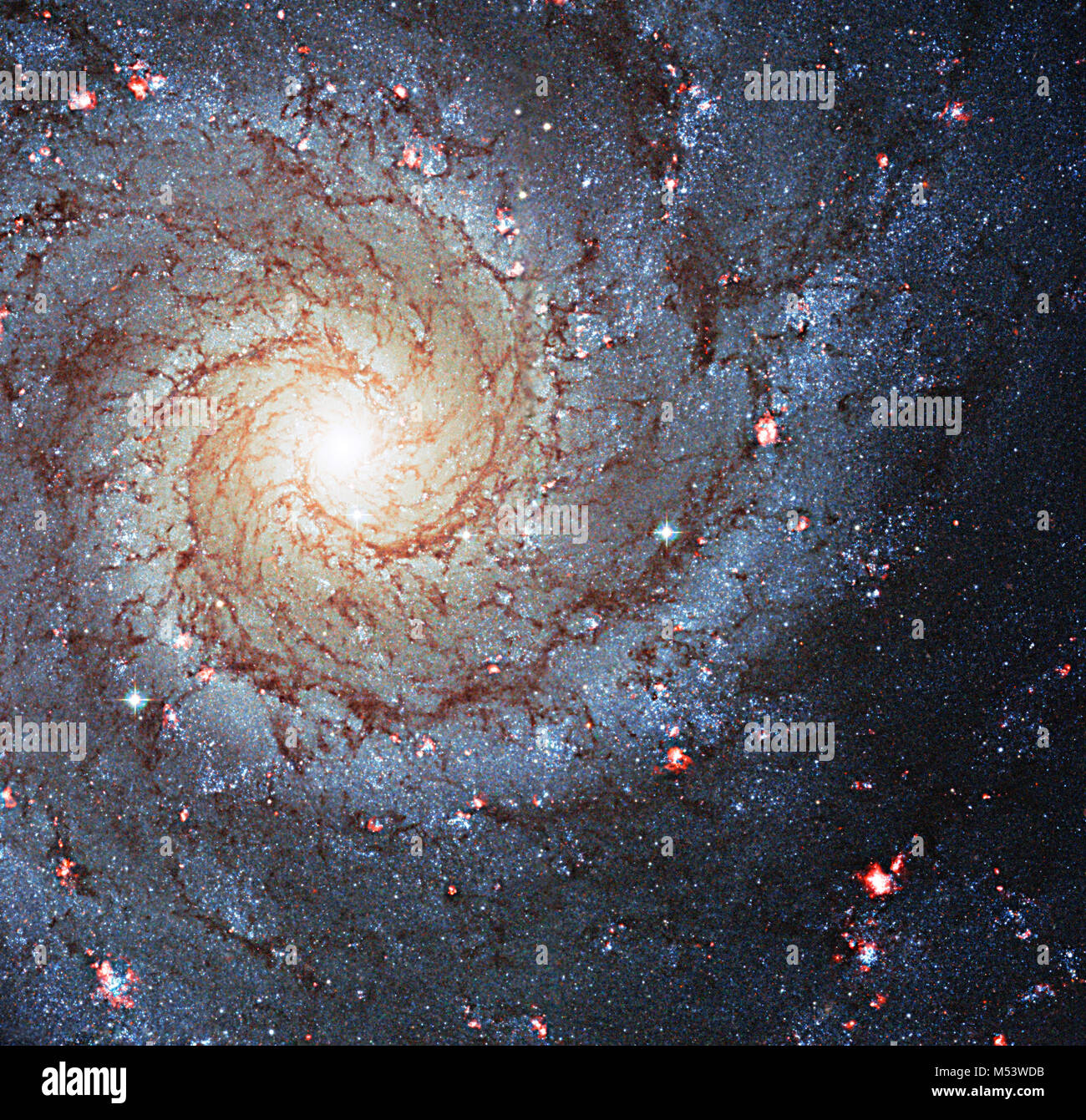 Space Galaxy M74 Elements of this image furnished by NASA. Retouched ...