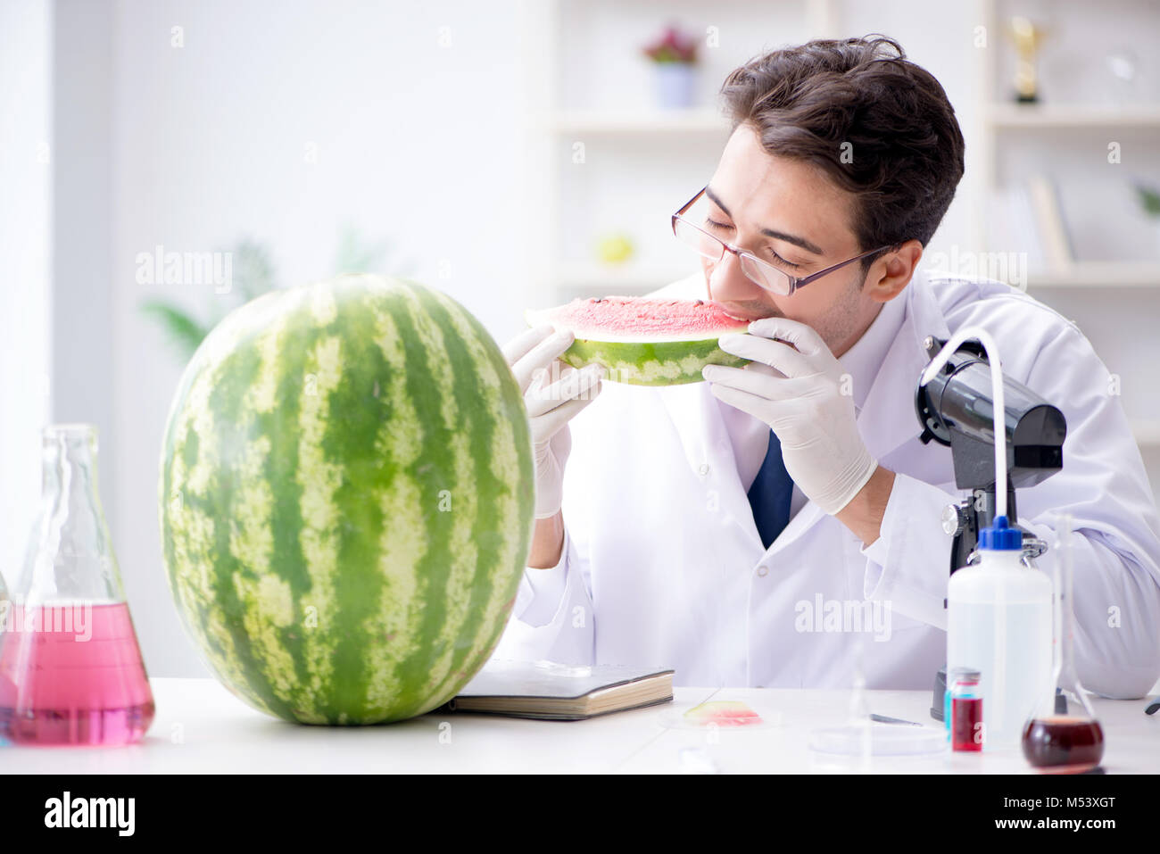 Scientist testing watermelon in lab Stock Photo - Alamy