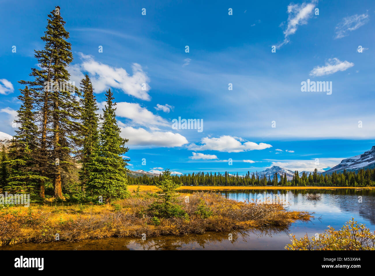 Waterlogged hi-res stock photography and images - Alamy