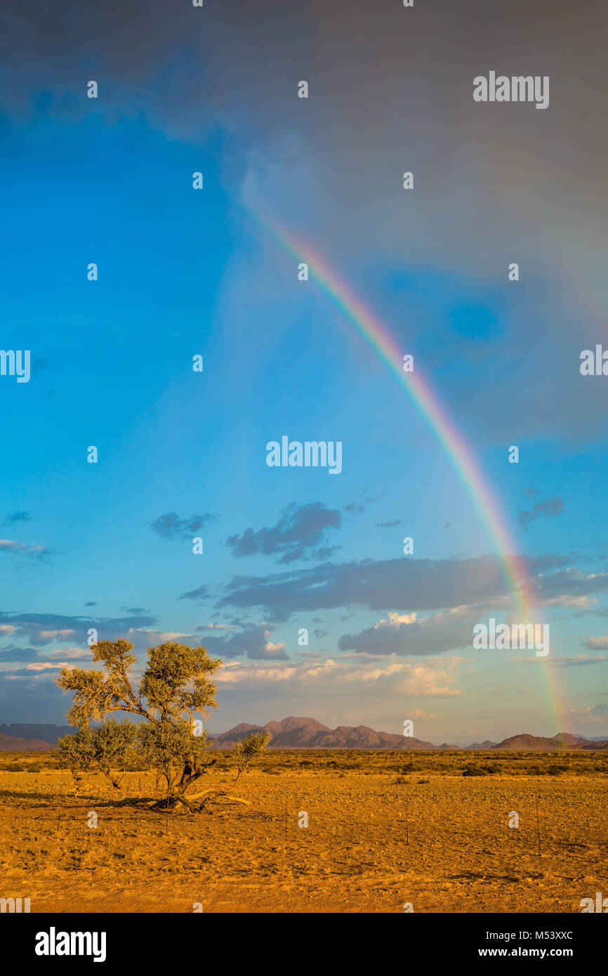Magnificent rainbow crossed the sky Stock Photo - Alamy