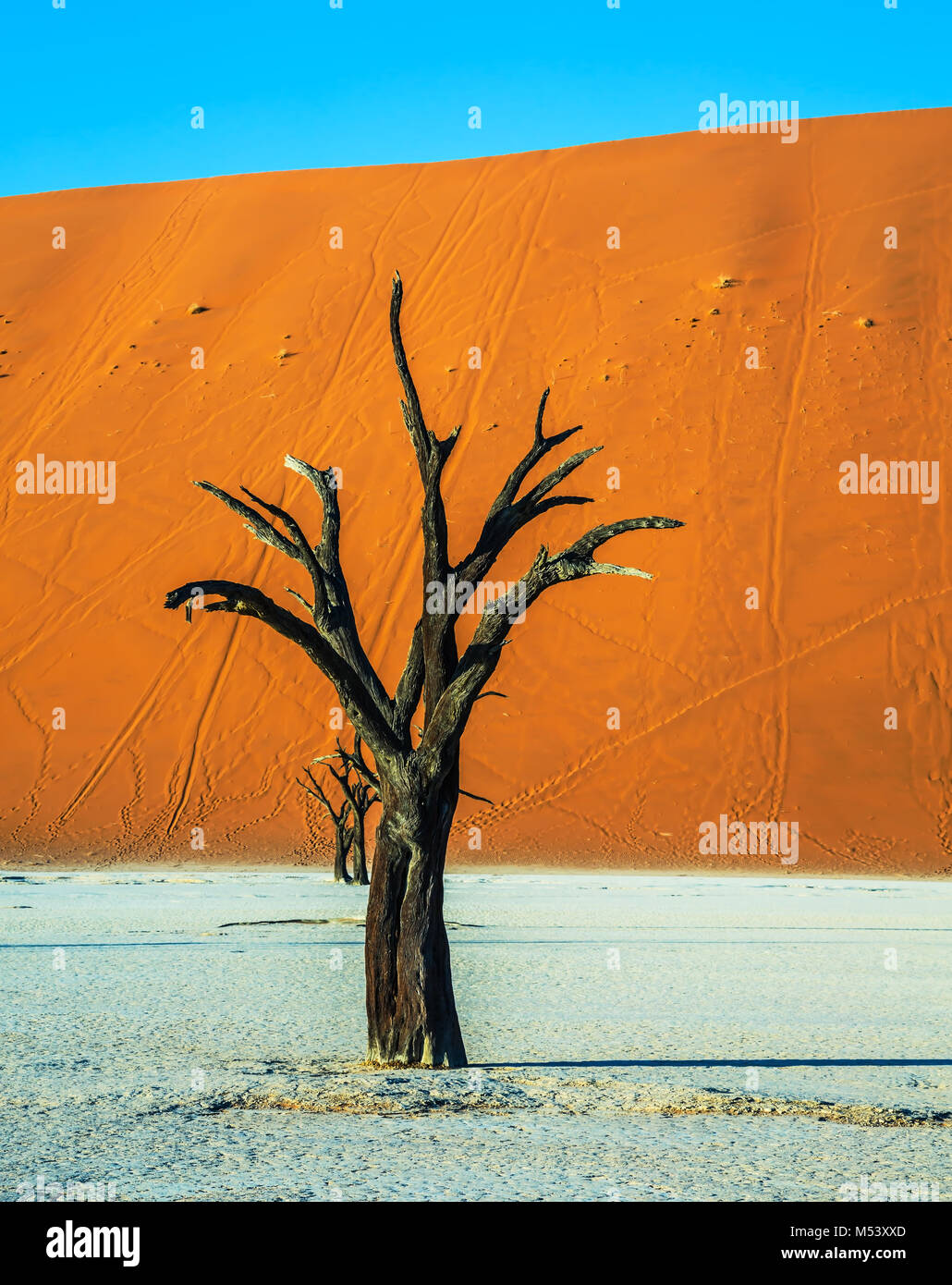 Orange dune hi-res stock photography and images - Alamy