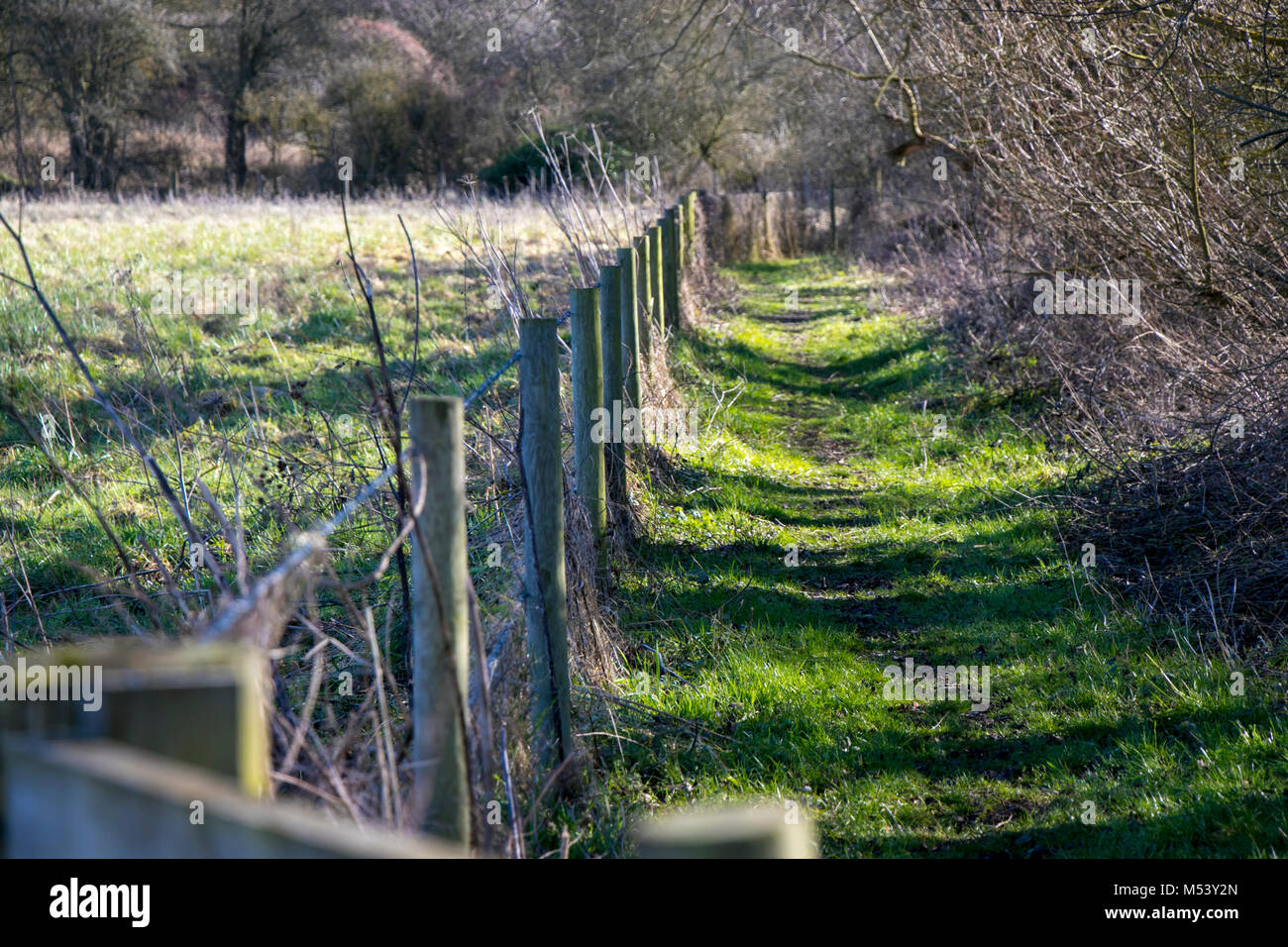 Cambridgeshire countryside footpath hi-res stock photography and images ...