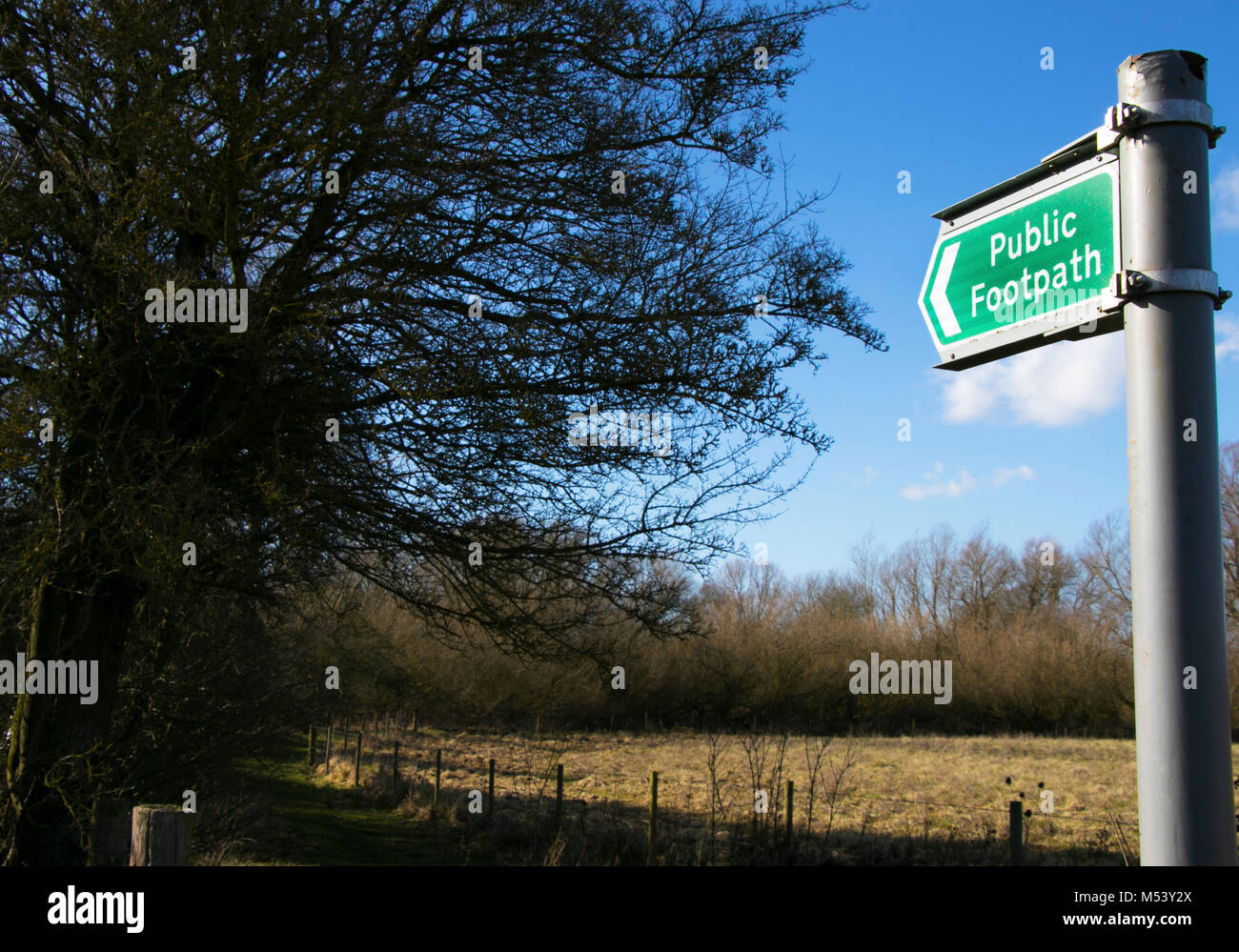 Green British Public Footpath Sign pointing to grassy path with blue ...