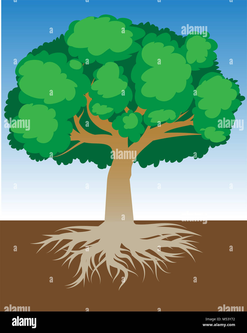 Vector dense tree hi-res stock photography and images - Alamy