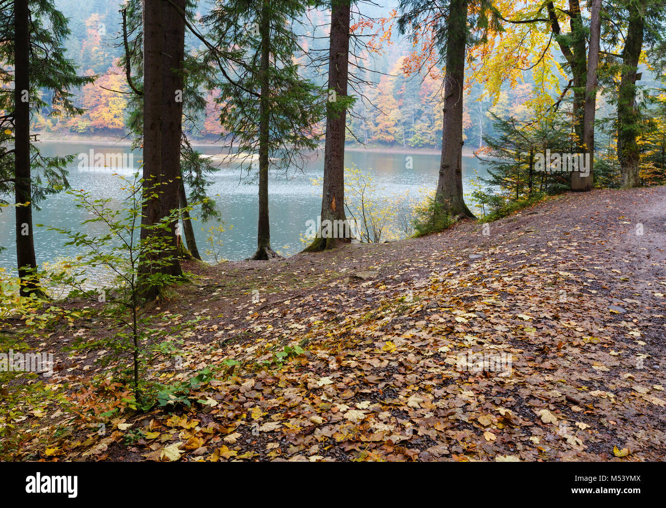 Synevyr national park hi-res stock photography and images - Alamy