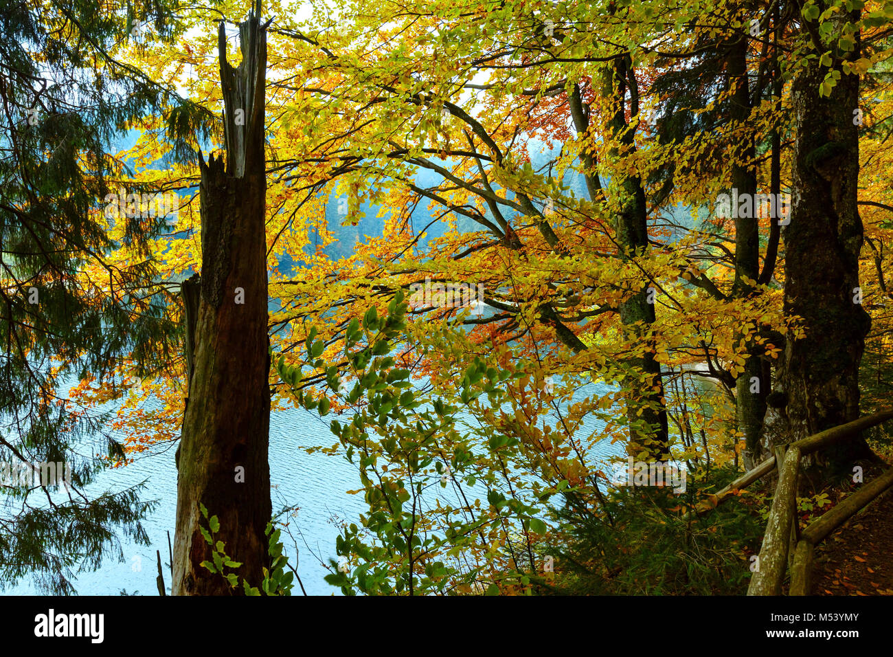 Synevyr national nature park hi-res stock photography and images - Alamy