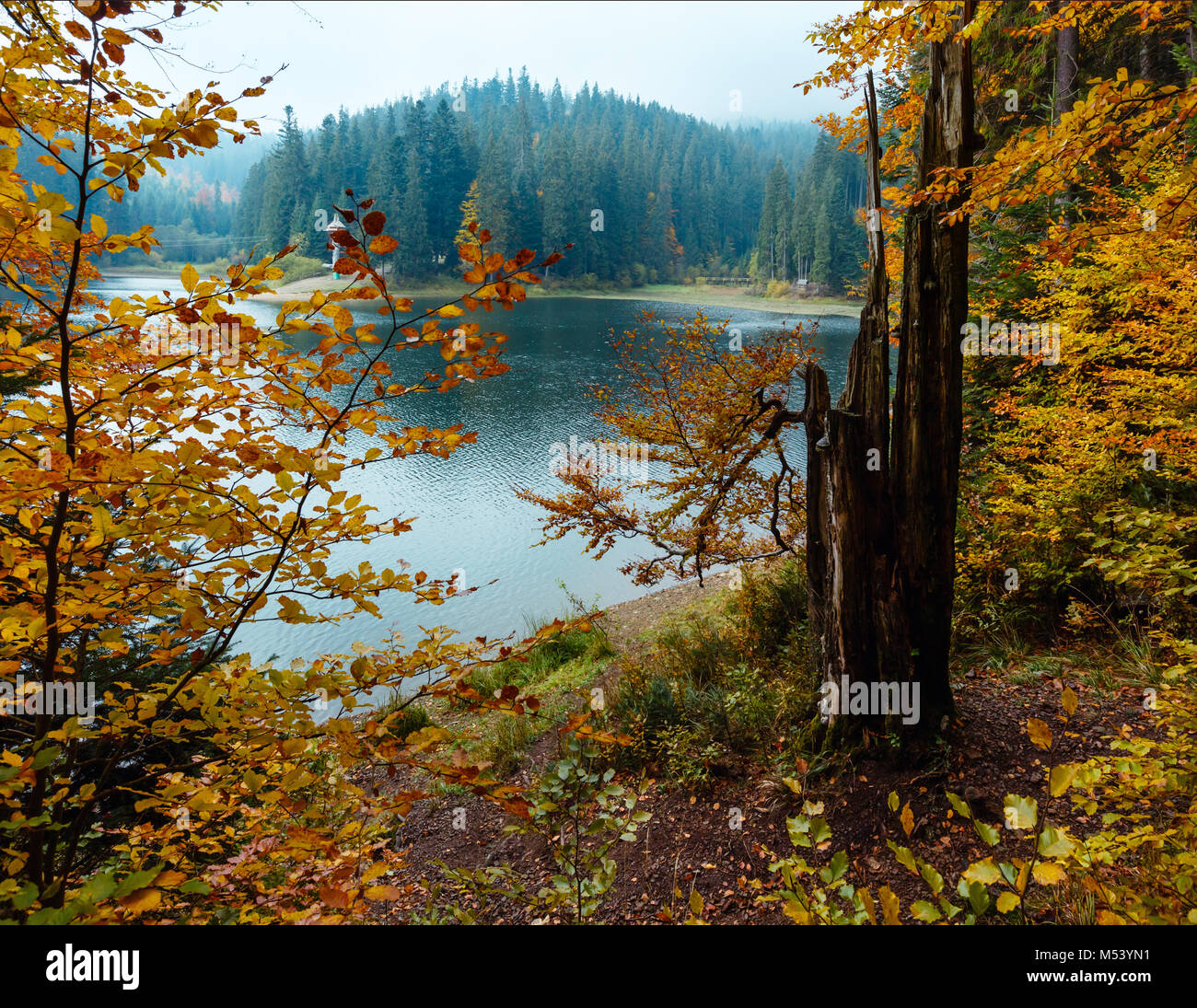 National nature park synevyr hi-res stock photography and images - Alamy