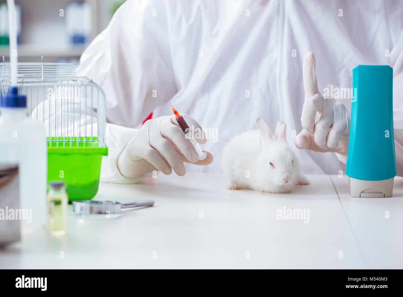 White rabbit in scientific lab experiment Stock Photo - Alamy