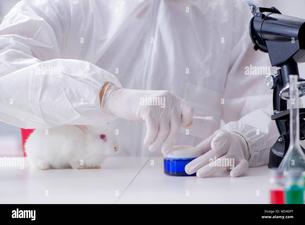 White rabbit in scientific lab experiment Stock Photo - Alamy