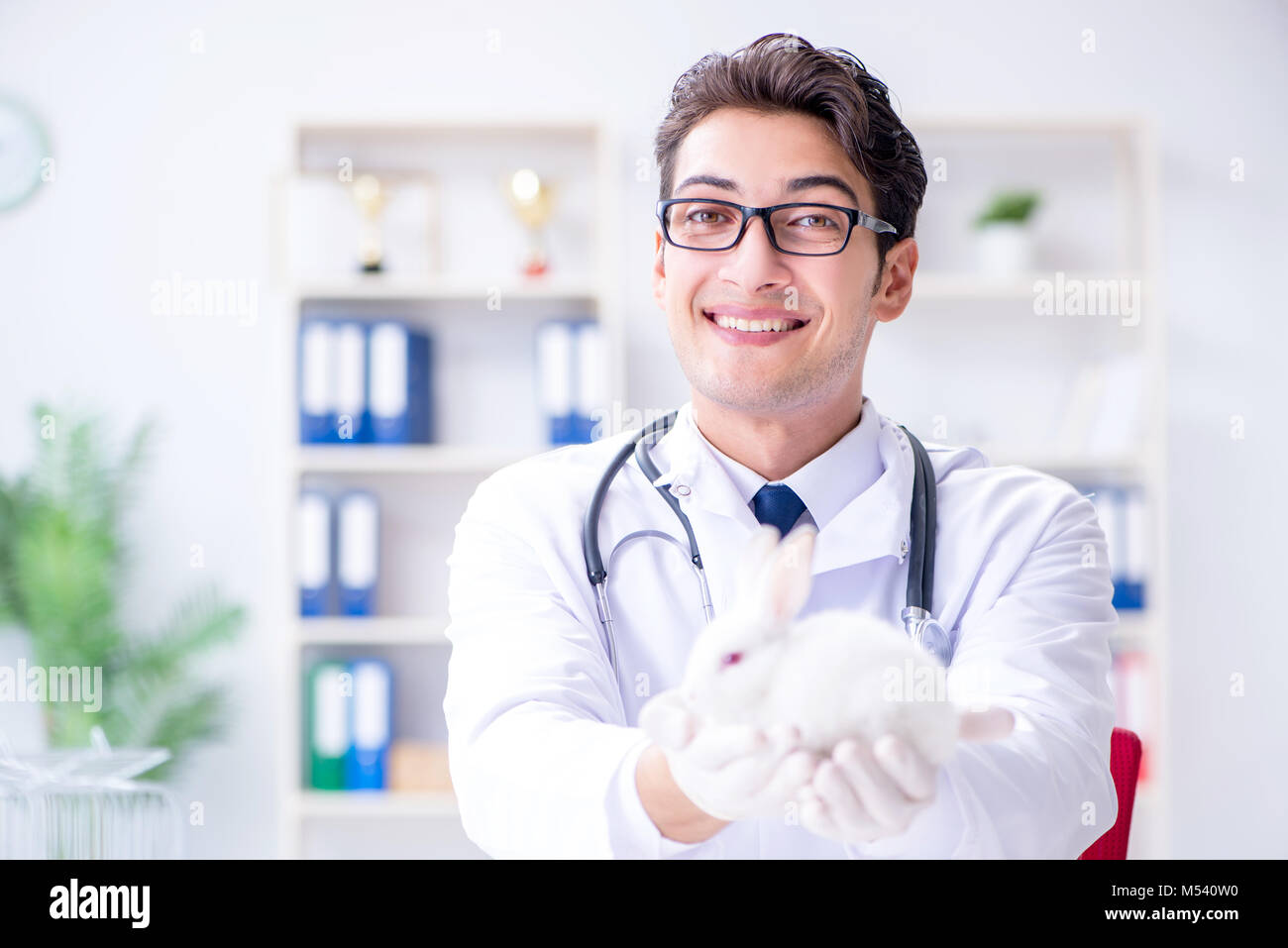 Vet doctor examining rabbit in pet hospital Stock Photo - Alamy