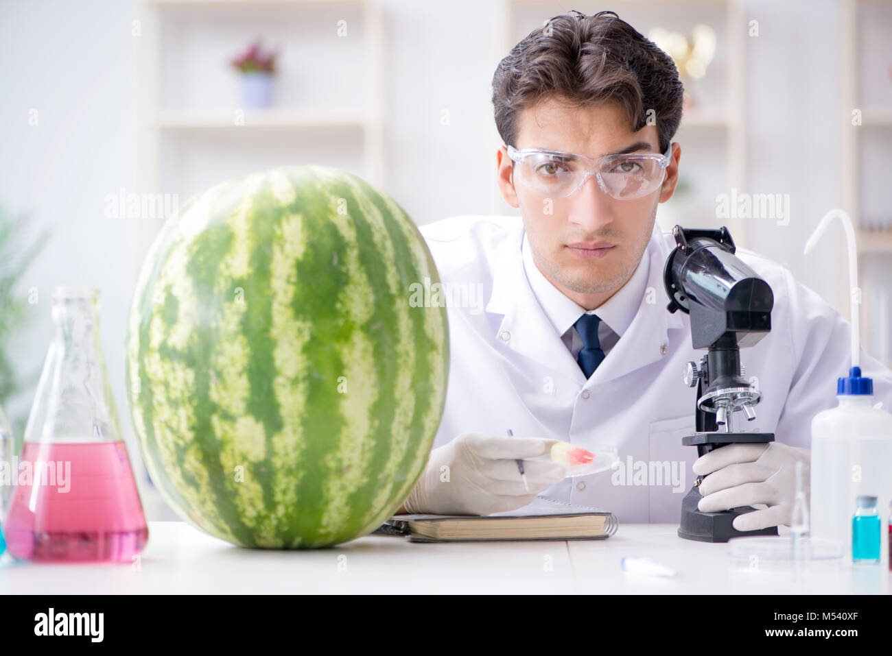 Scientist testing watermelon in lab Stock Photo - Alamy