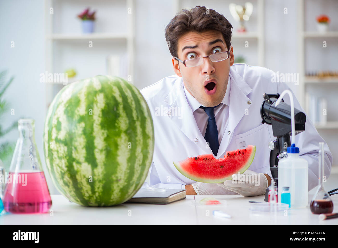 Scientist testing watermelon in lab Stock Photo - Alamy