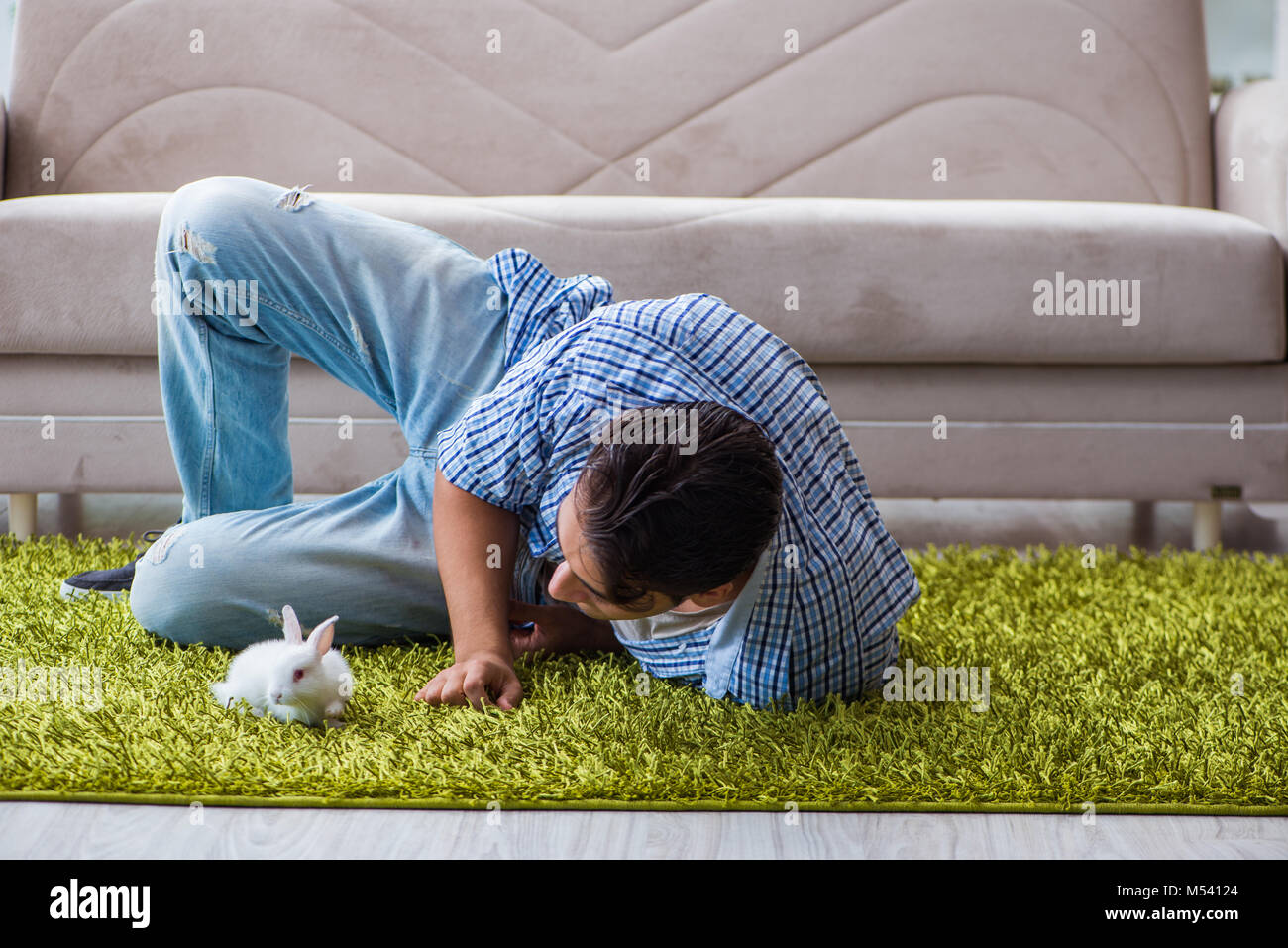 Young man playing with pet rabbit at home Stock Photo - Alamy