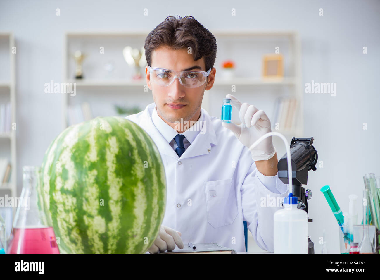 Scientist testing watermelon in lab Stock Photo - Alamy