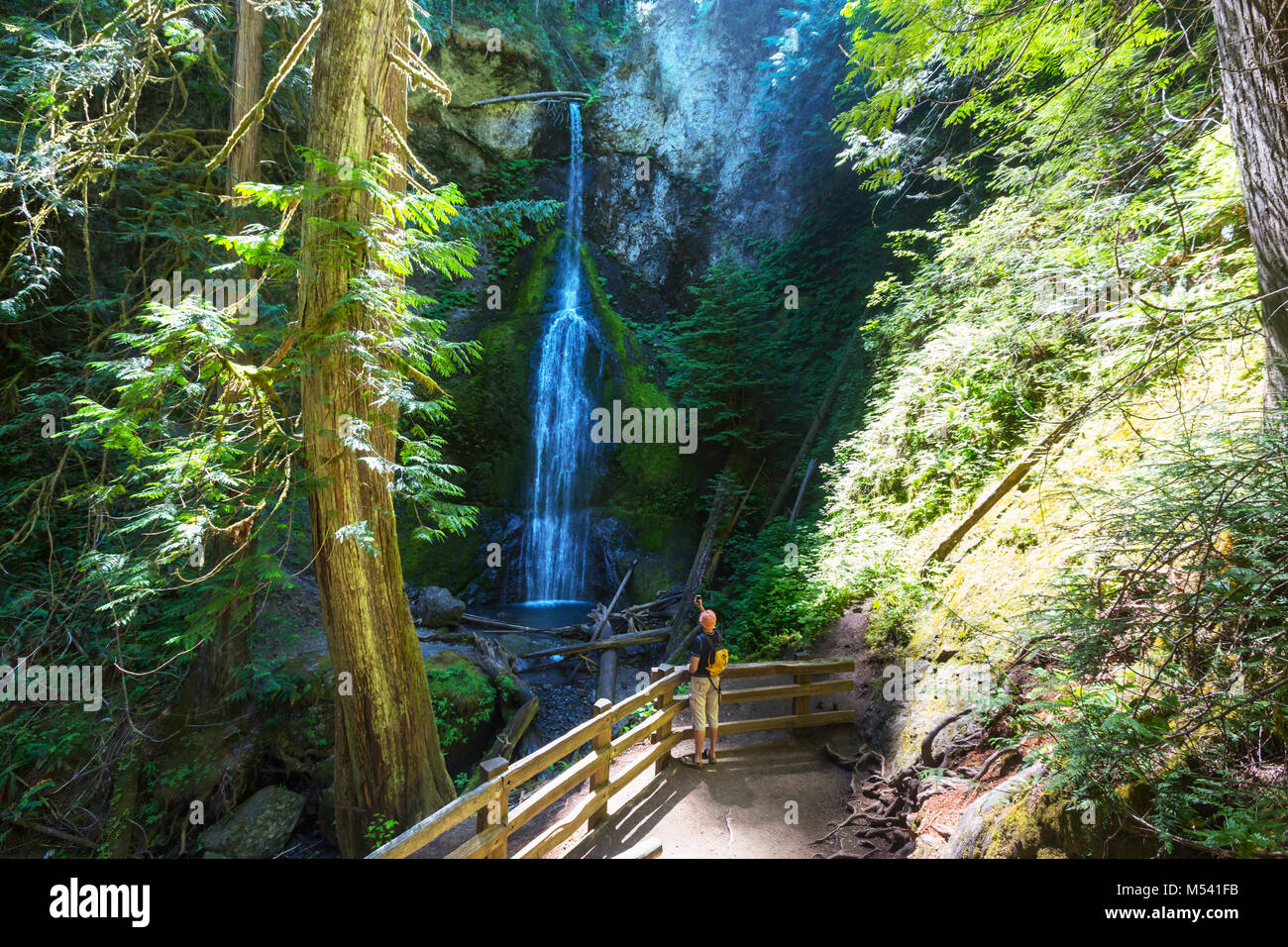Waterfall in the forest Stock Photo - Alamy