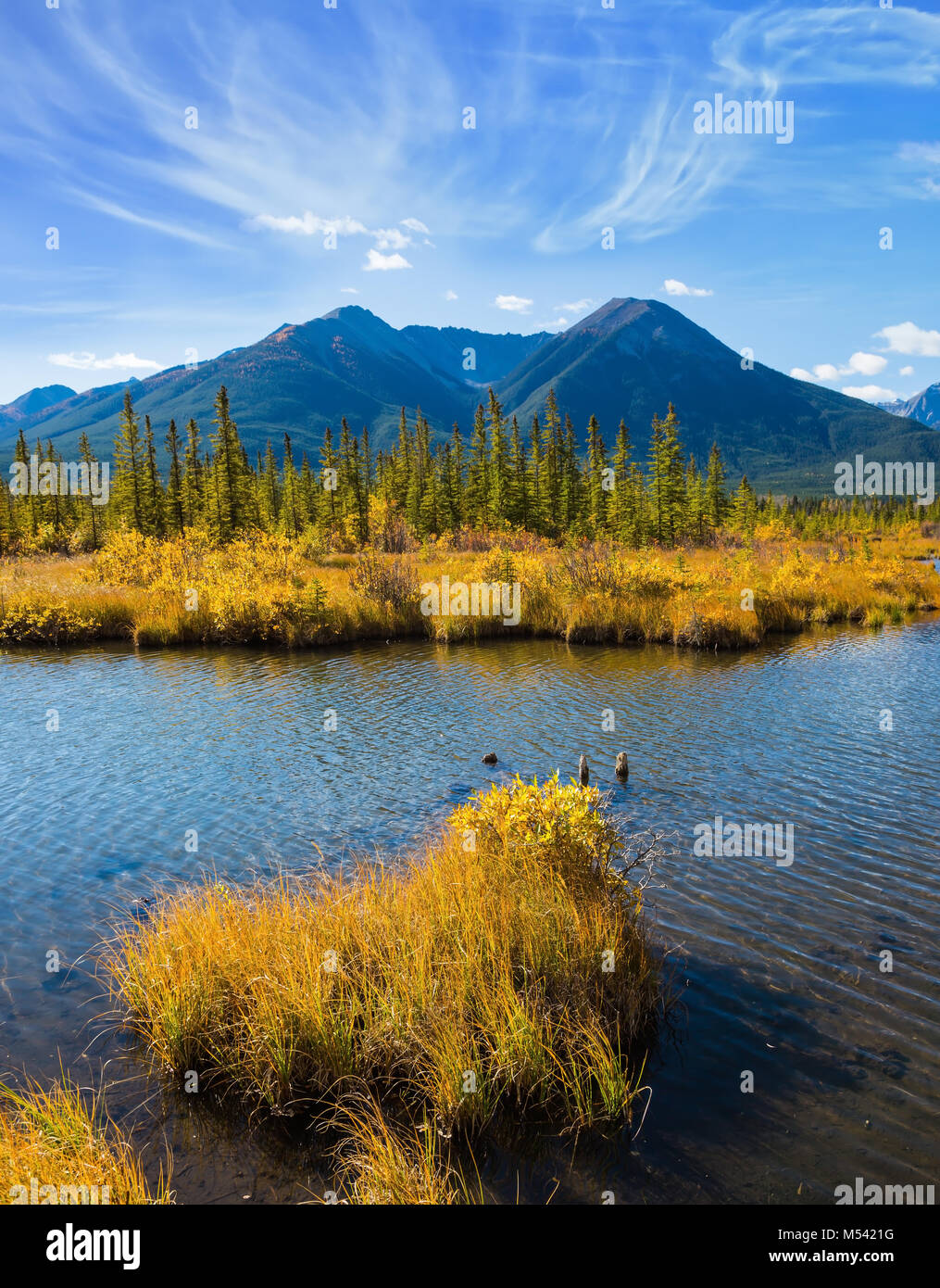 Breeze hi-res stock photography and images - Alamy