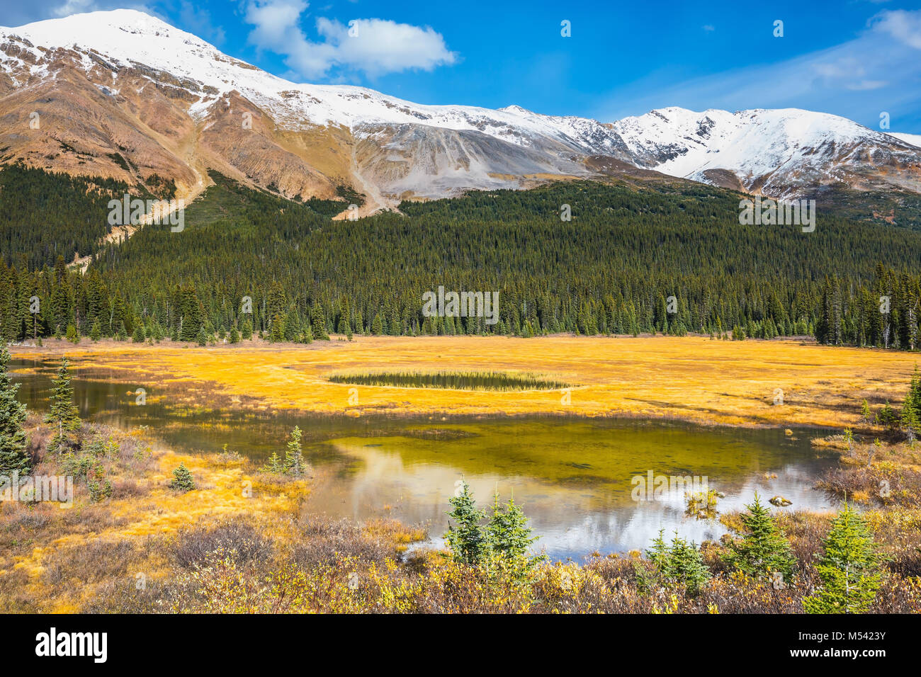 Sunny day in Rocky Mountains Stock Photo - Alamy