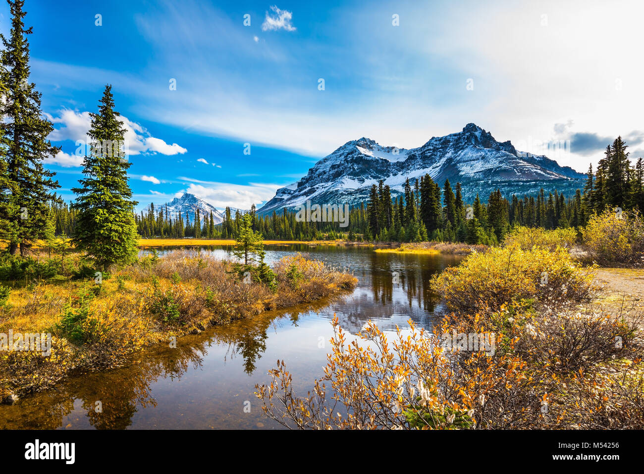 Waterlogged hi-res stock photography and images - Alamy