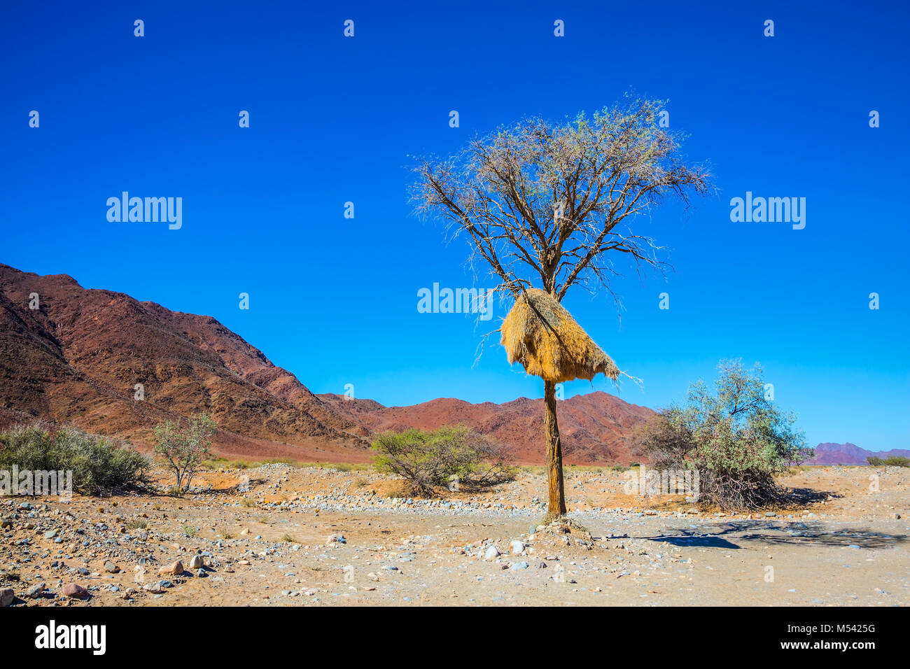 Red Namib desert in Namibia Stock Photo - Alamy