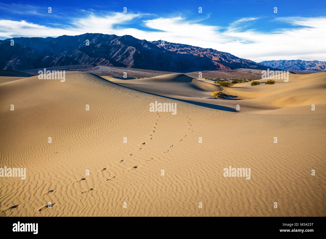 Death valley california hot hi-res stock photography and images - Alamy
