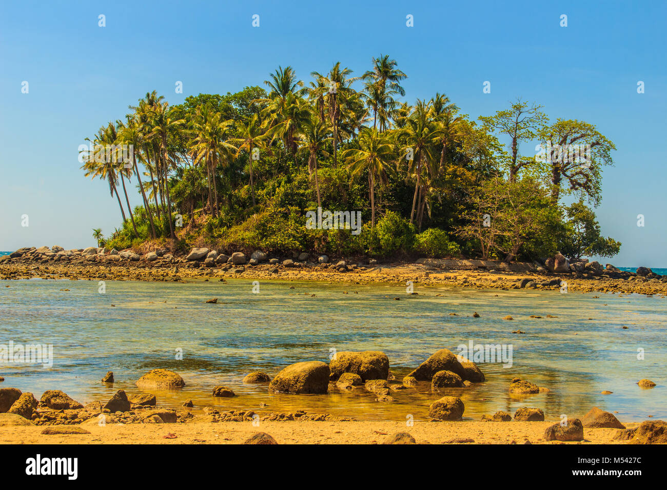 Lonely remote island with rock beach and tree when the sea water ...