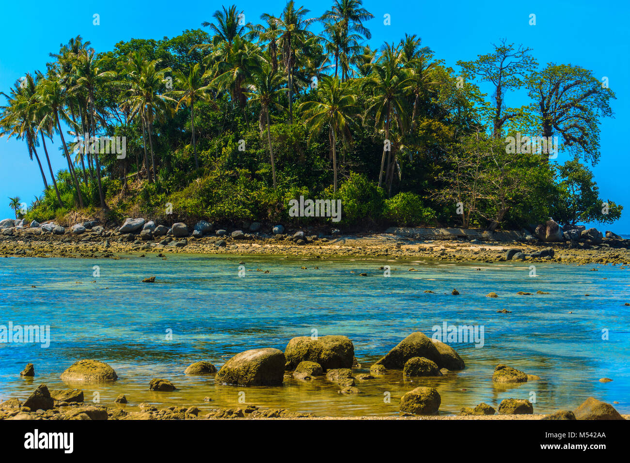 Lonely remote island with rock beach and tree when the sea water ...