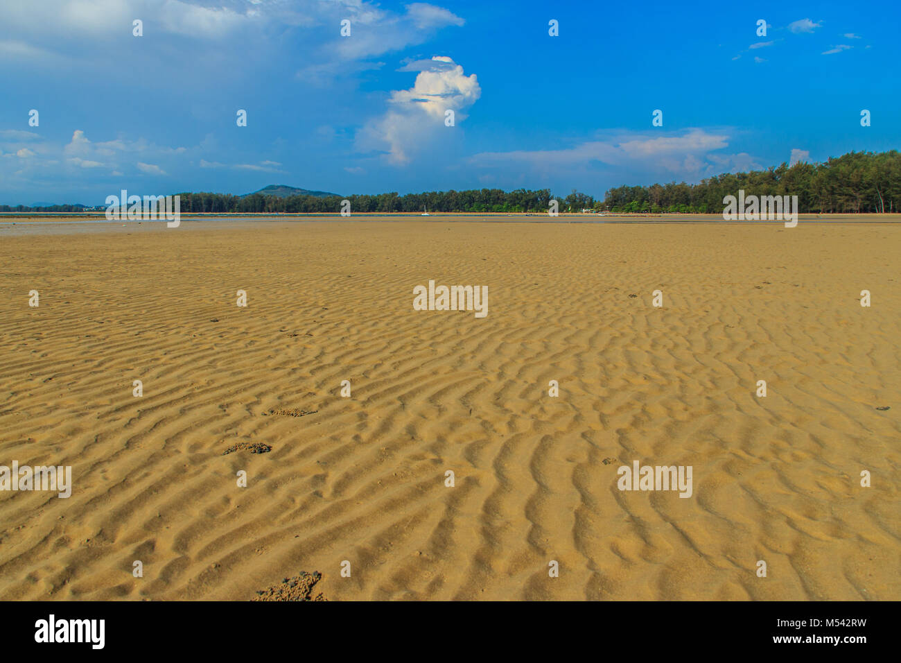 Exotic and beautiful wave pattern on the sand in the beach after sea ...