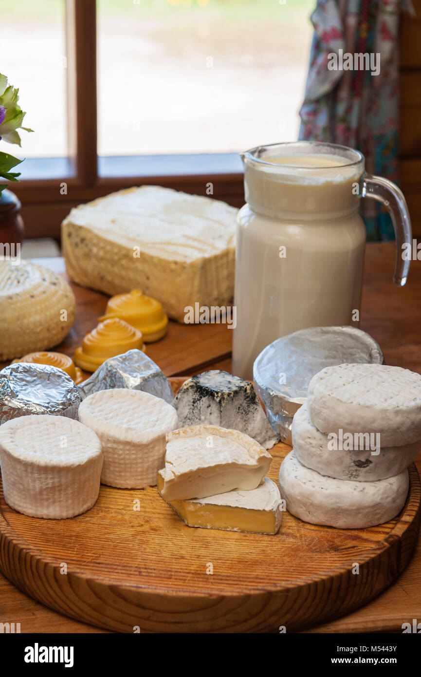 Set of different cheese Stock Photo - Alamy