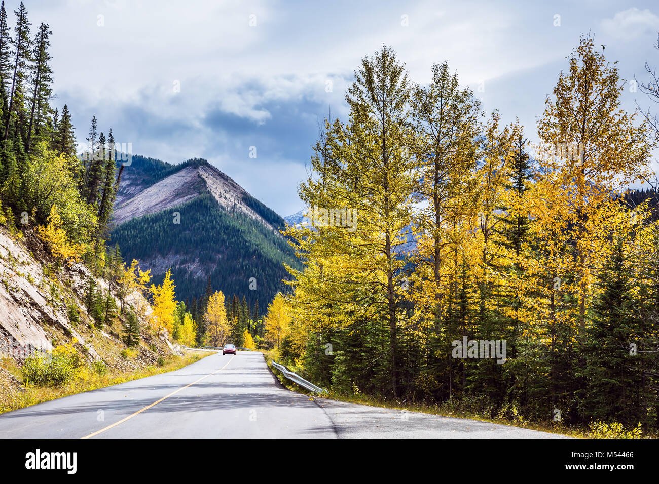 The asphalt road Stock Photo - Alamy