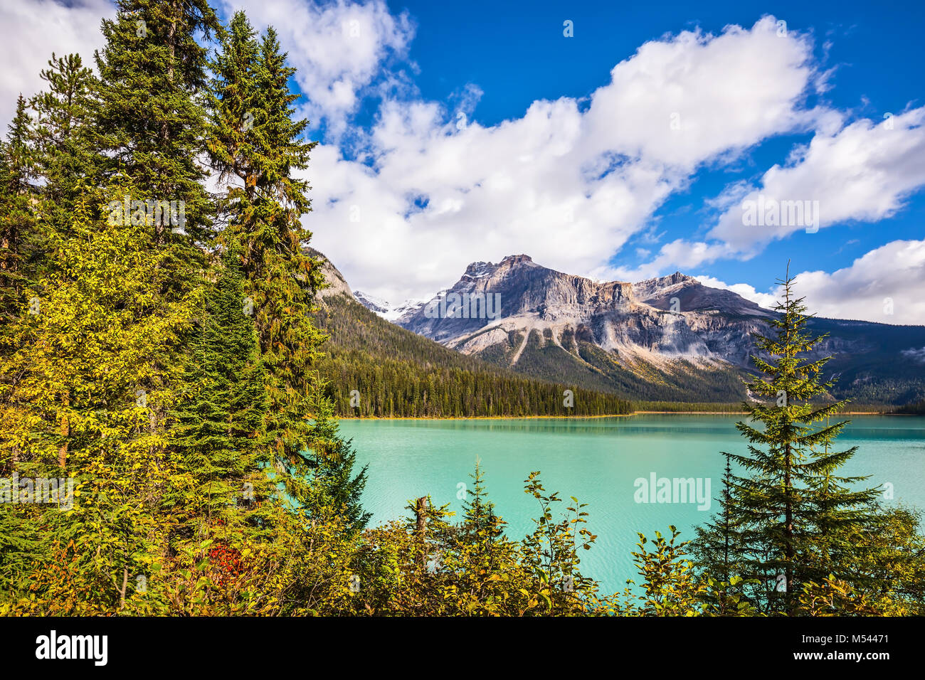 Beautiful forest lake surrounded hi-res stock photography and images ...