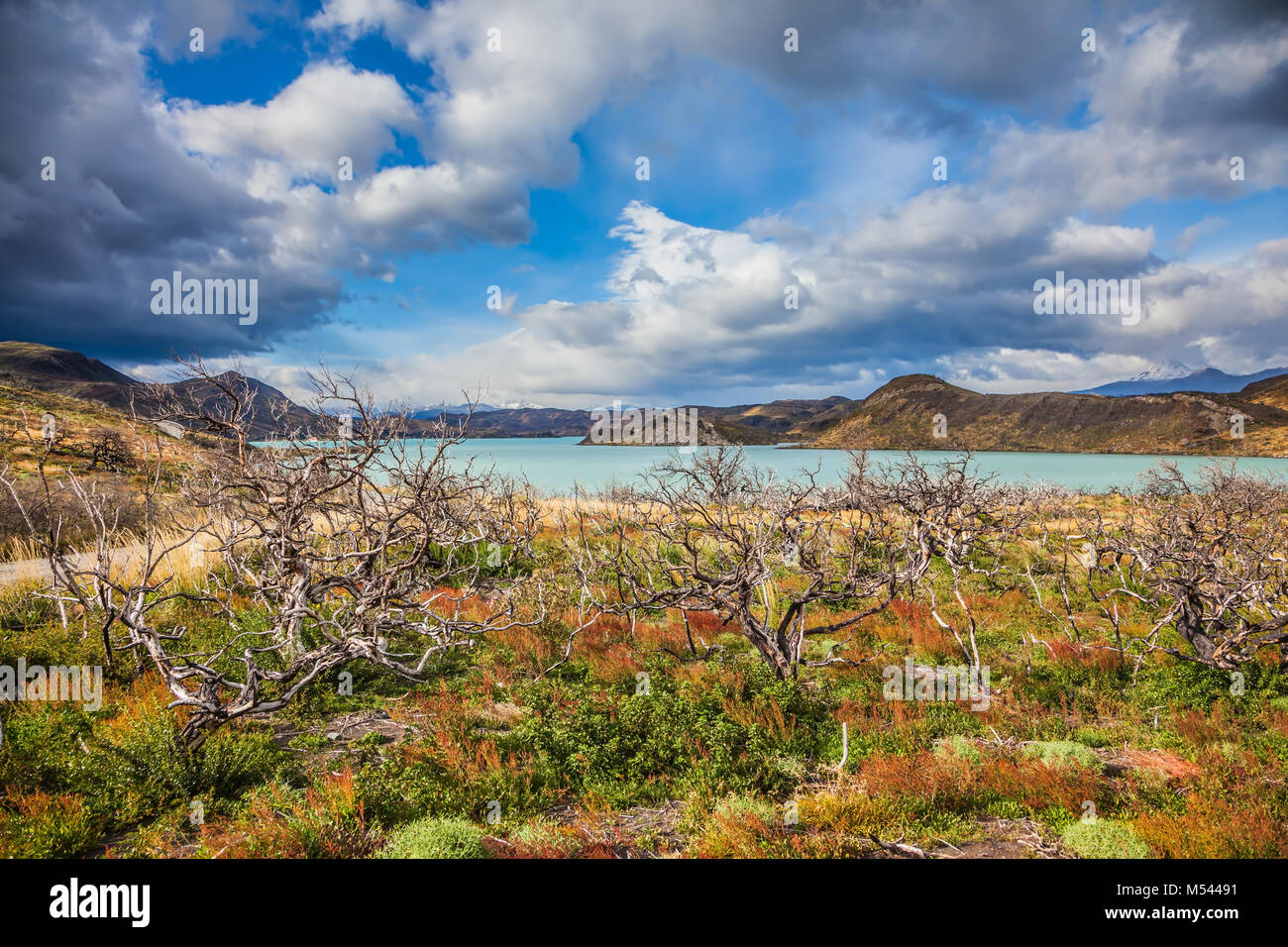 Torres del Paine Biosphere Reserve Stock Photo - Alamy